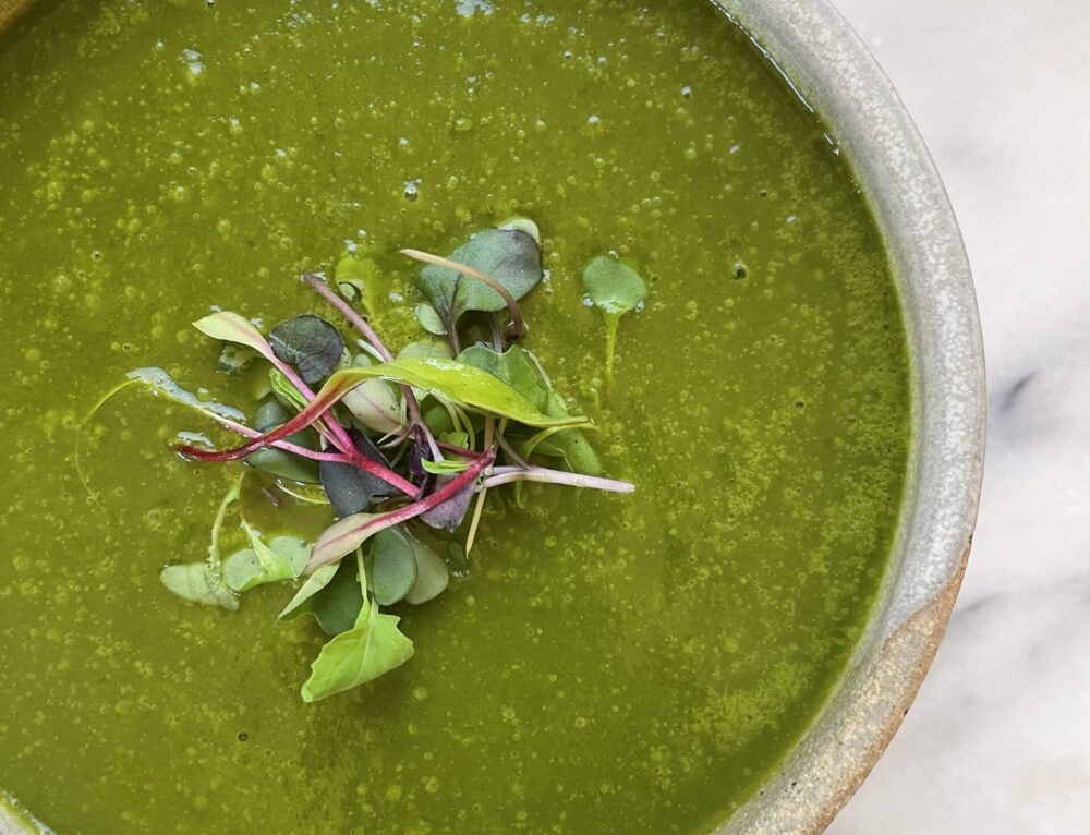 Alkalizing Green Energy Soup In Less Than 30 Minutes – Embody Wellness Co.